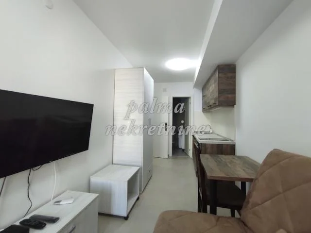 Izdavanje, Garsonjera, 20m2 , Bubanj