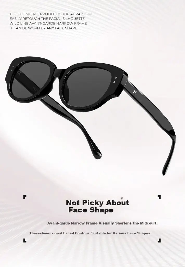 Loho Unisex naočare za sunce, Crne