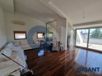 VOZDOVAC Gospodara Vučića ID: 93751907