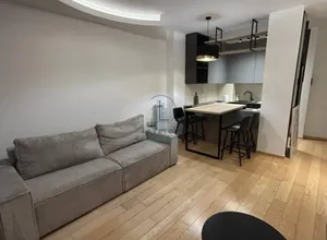 Izdavanje Stan - Beograd, Palilula Centar - Tašmajdan - Pravni fakultet