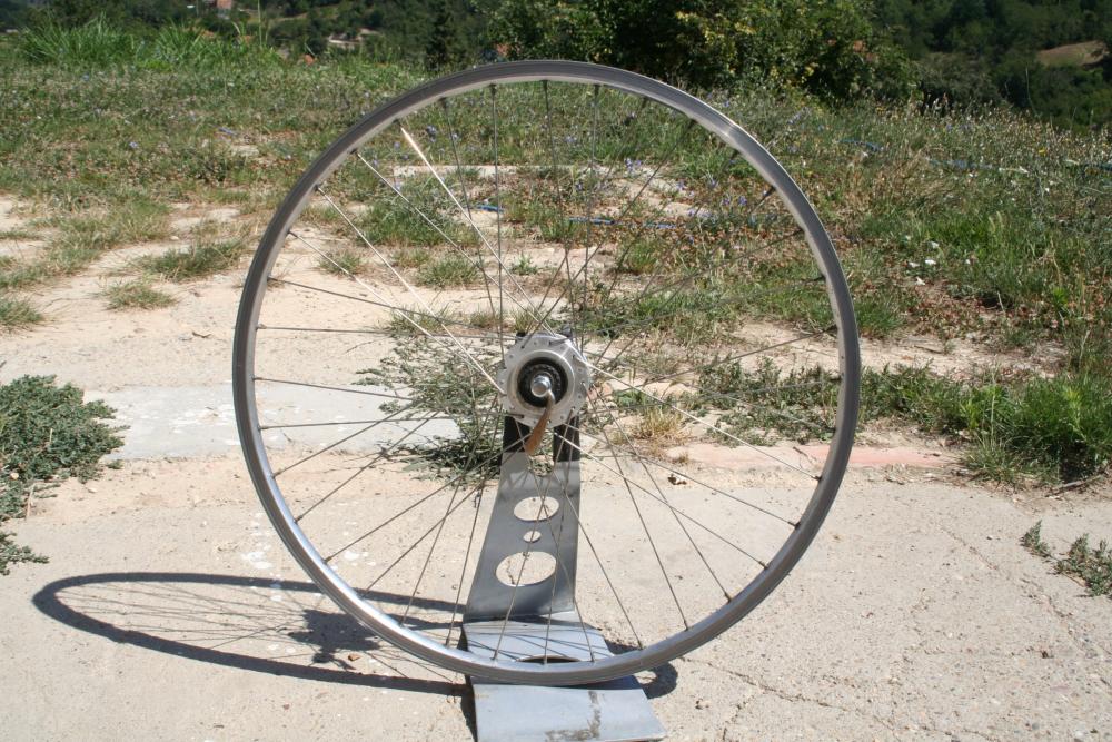 Dinama roler brake