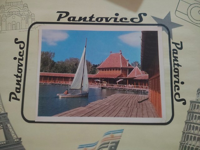 PALIC