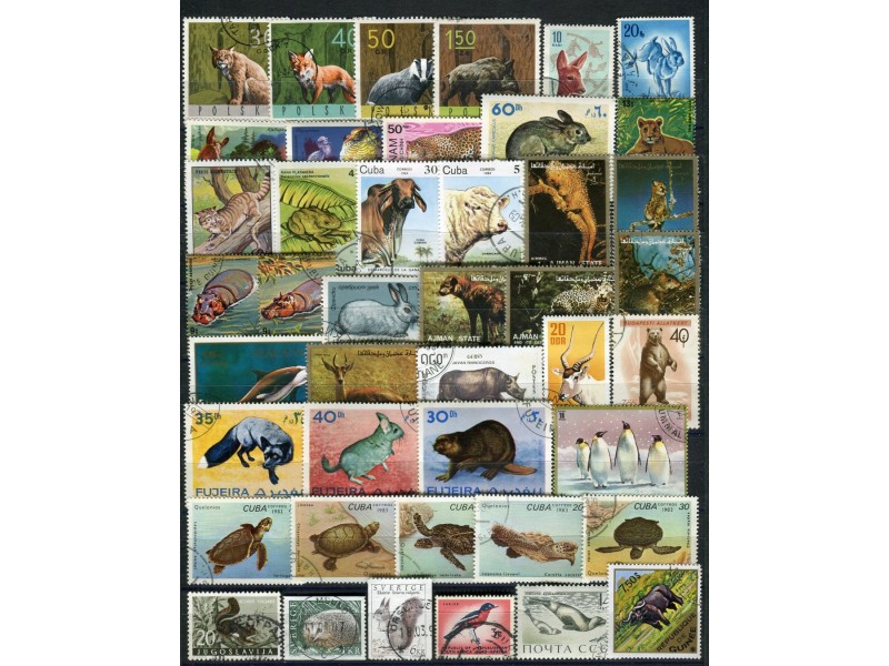 019 - Fauna - Lot žigosanih maraka