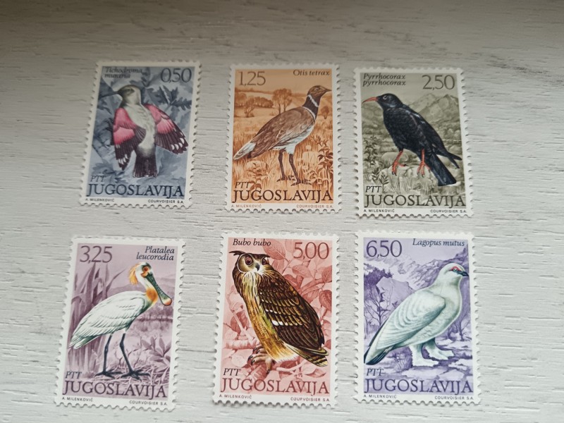 Fauna ptice 1972