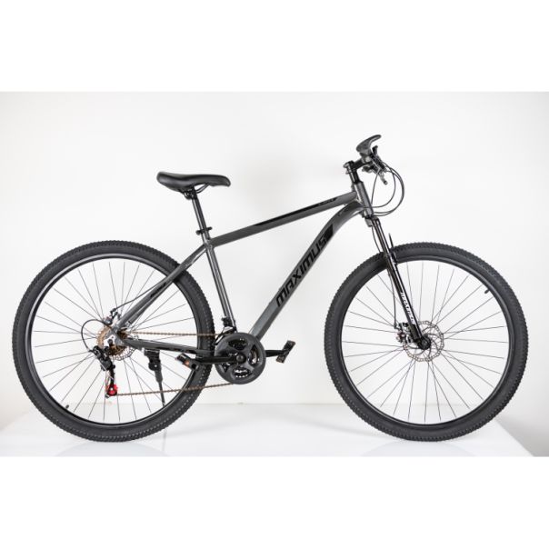 WINNER BIKE BIC. 29"/21 MAXIMUS GREY