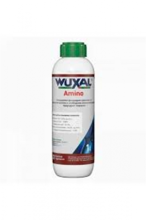 VUKSAL AMINO 250ML
Šifra: 1757 JM: KOM