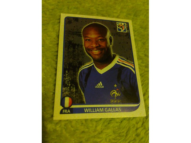 Panini FIFA 2010 J.Afrika sličica broj 091