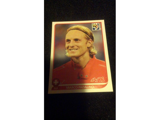 Panini FIFA 2010 J.Afrika sličica broj 590