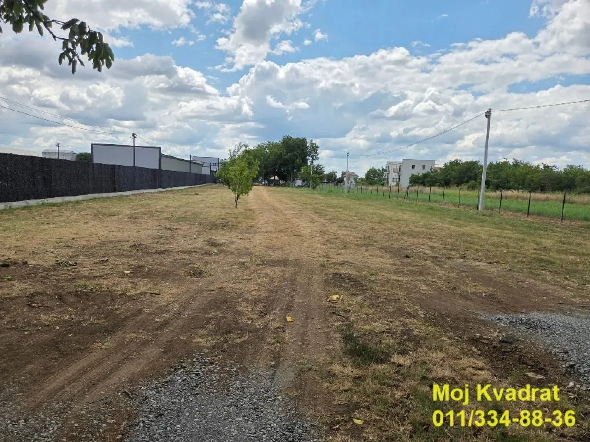 Izdavanje, plac, 2500m², Surčin, Beograd