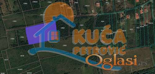 Na prodaju plac 4450m2, Palilula Donjovlaška