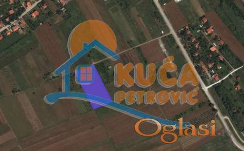 Plac, Vrtište 6579m2