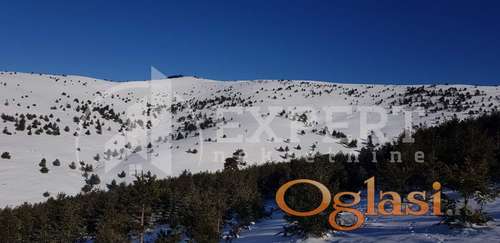 PLAC ČIGOTA ZLATIBOR !!!