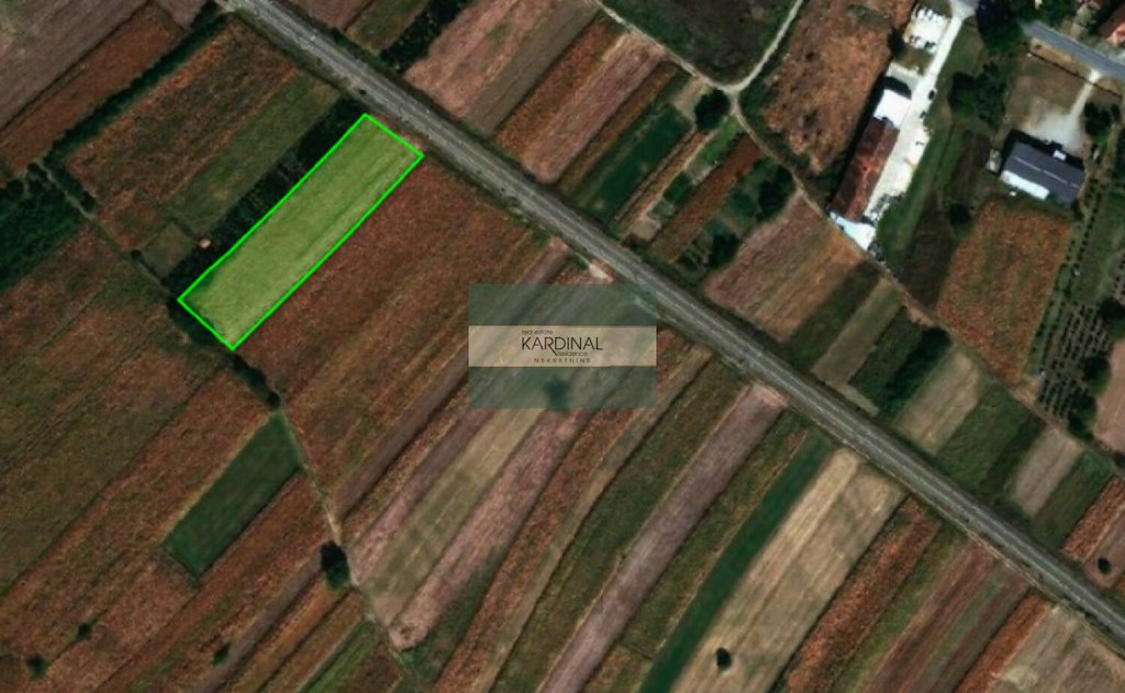 Plac, Ćuprija – Mijatovac | Prodaja · 10.000€