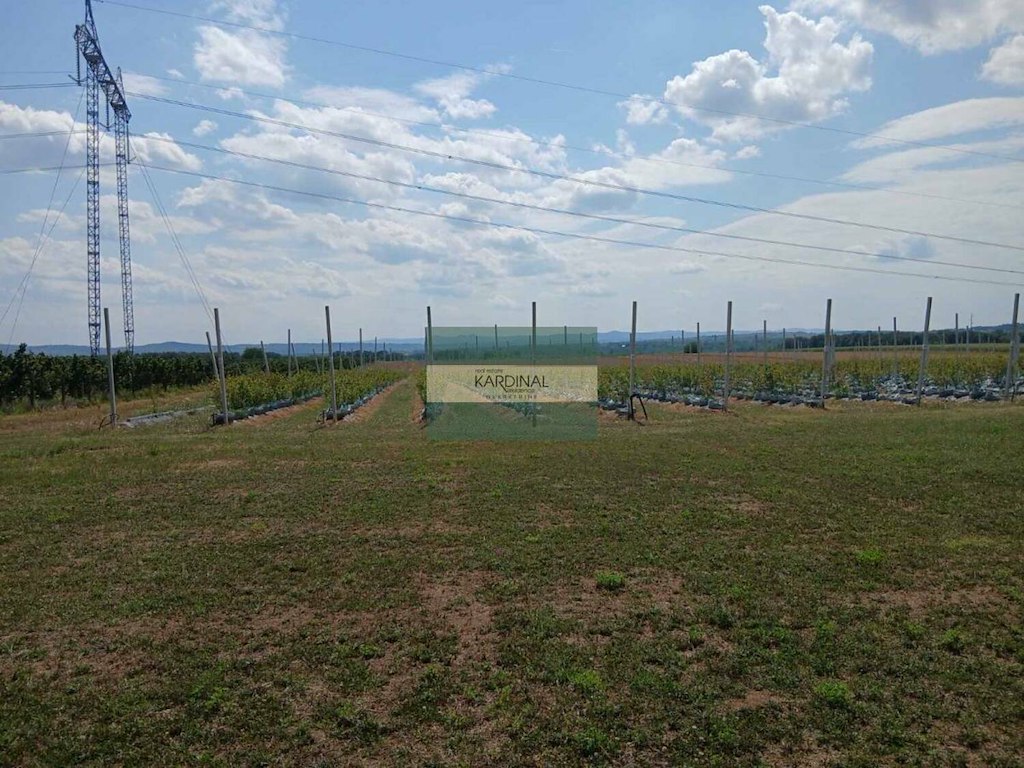 Plac, Jagodina - Međureč | Prodaja · 190.000€
