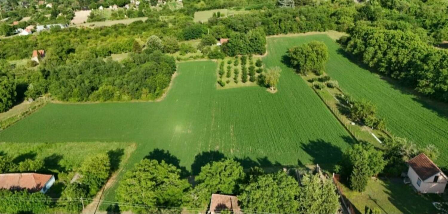 Plac, Inđija - Janda | Prodaja · 7700m² · 153.230€