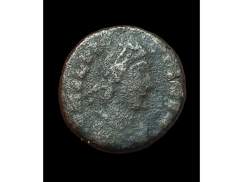 Flavius Viktor, minima