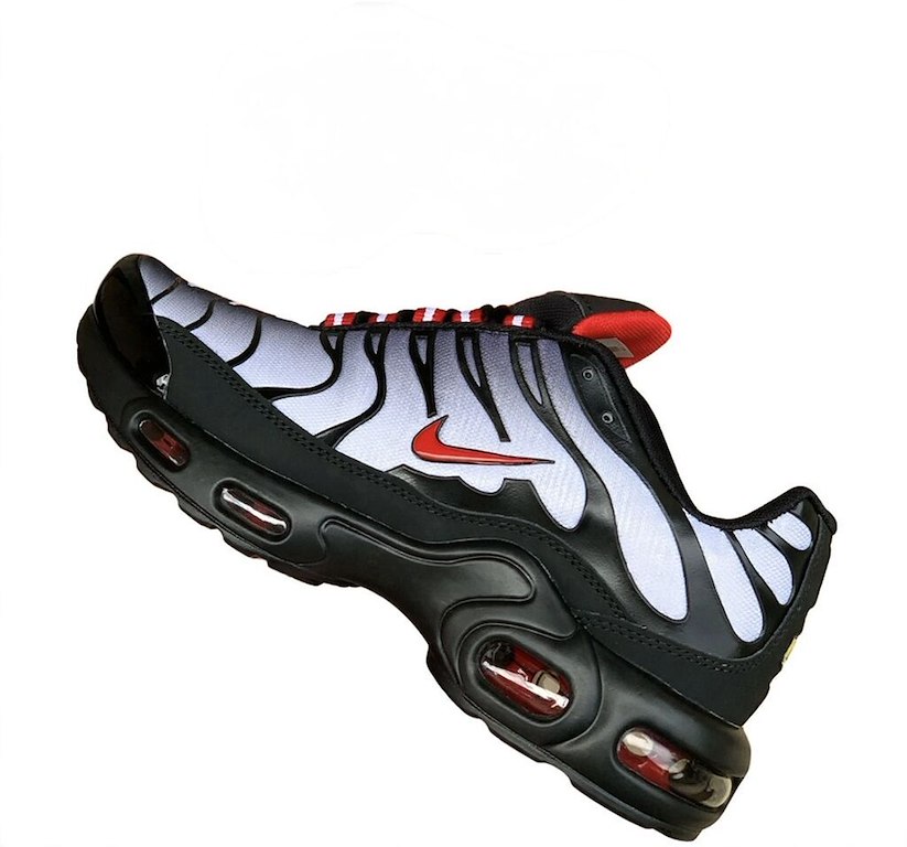 Nike Air Max Plus TN – muške patike - Prepoznatljiv “Tuned Air”