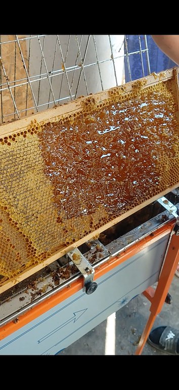 Domaći livadski med iz saća – hladno ceđen u kanticama 5kg-3000din