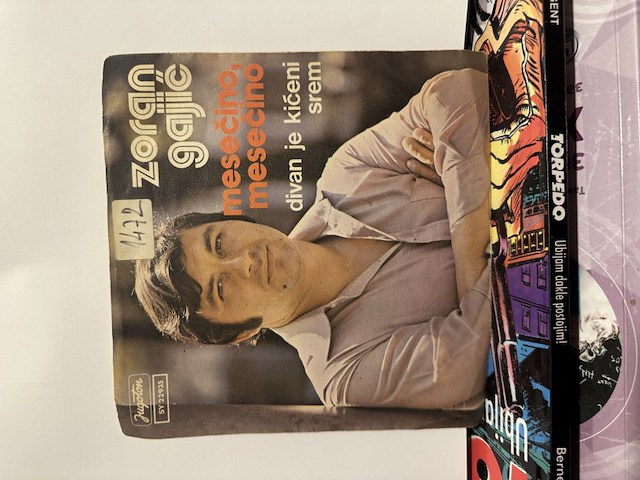 ZORAN GAJIĆ - MESEČINO, MESEČINO