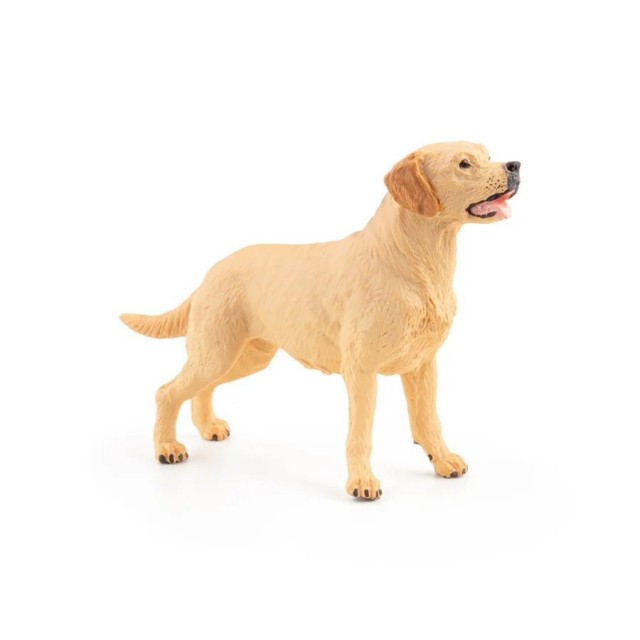 PAPO LABRADOR RETRIVER