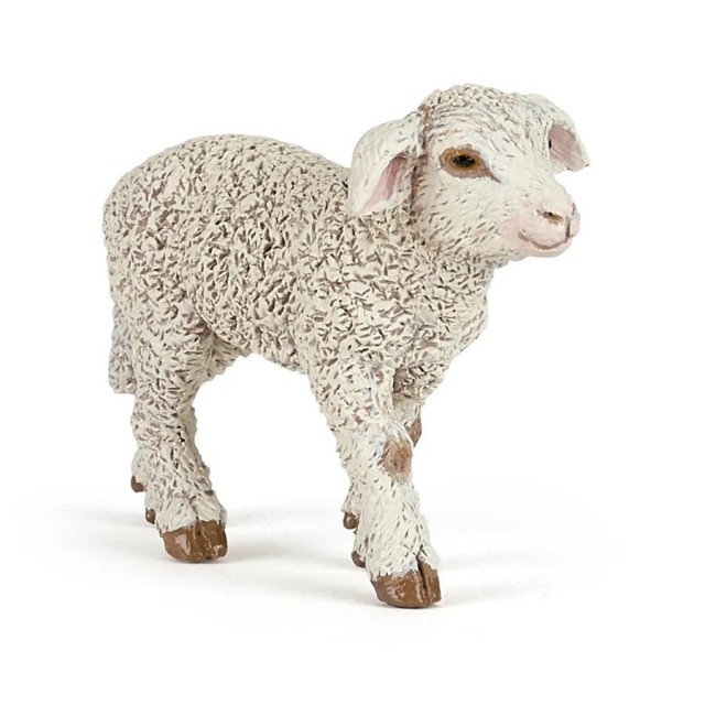 PAPO MERINO JAGNJE
