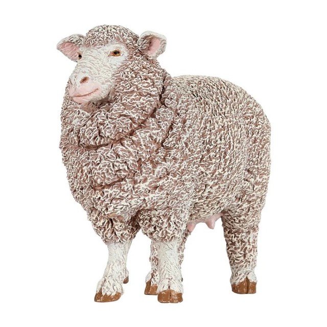PAPO MERINO OVCA