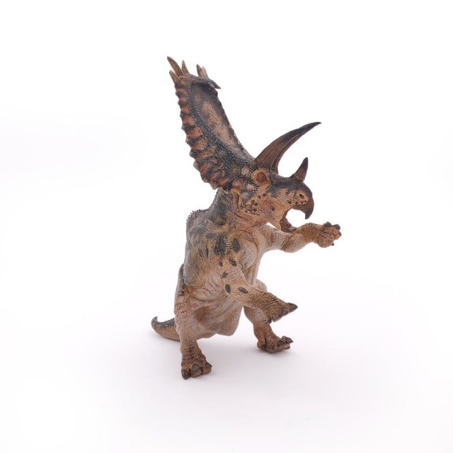 PAPO PENTACERATOPS