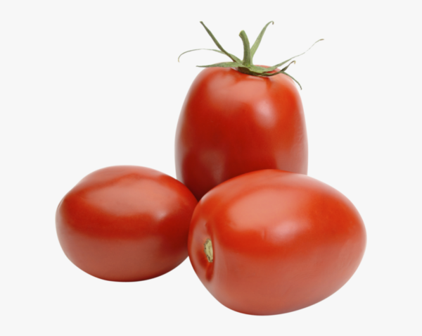 * Organski paradajz šljivar KG
