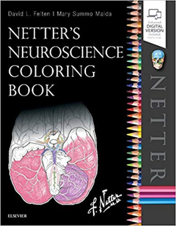 Netter’s Neuroscience Coloring Book
