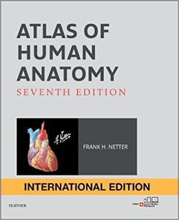 Atlas of Human Anatomy, 7th Edition, International Edition, 7 Ed