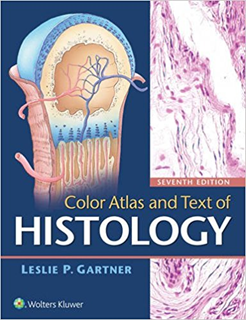 COLOR ATLAS AND TEXT OF HISTOLOGY 7E PB