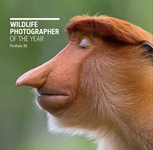 Wildlife Photographer of the Year: Portf