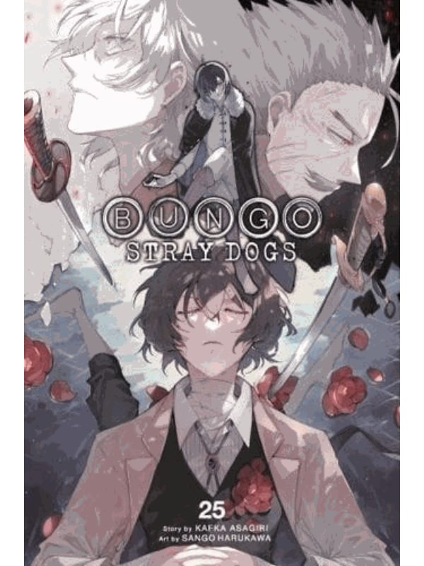 Bungo Stray Dogs. Vol. 25