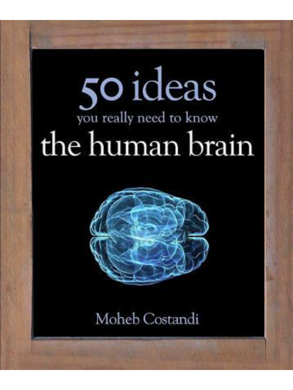 50 Human Brain Ideas You Really Need to Know