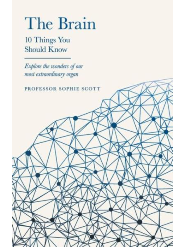 The Brain: 10 Things You Should Know