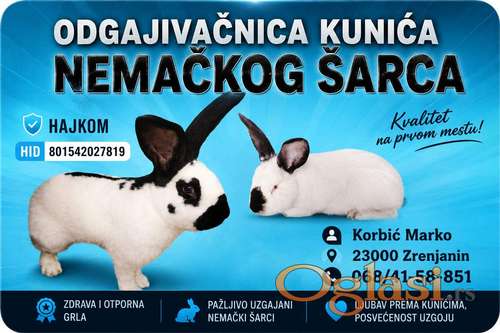 Hajkom kunići