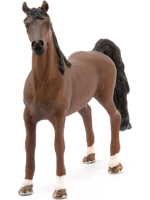 Americki Saddlebred Pastuv