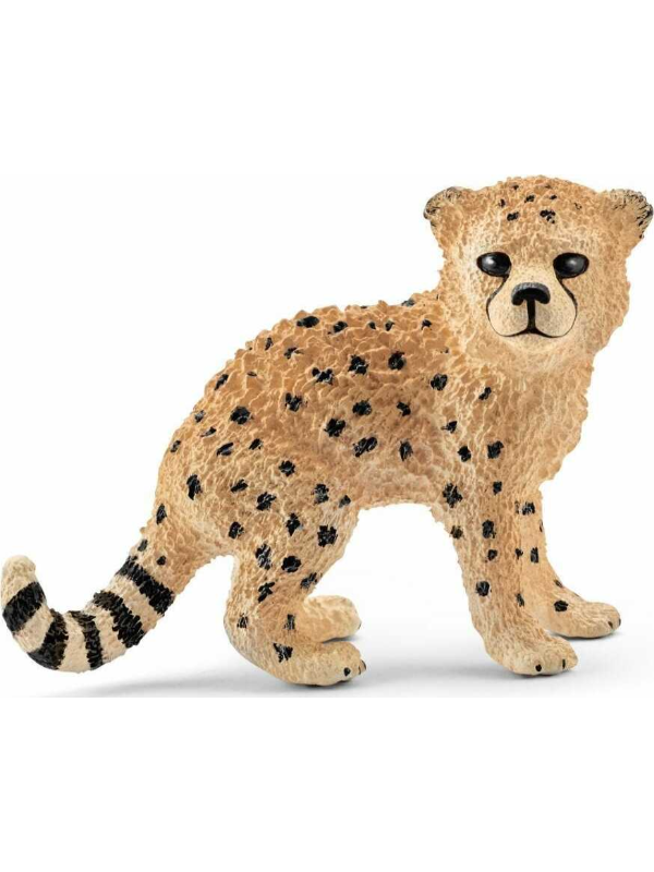 Gepard Mladunce