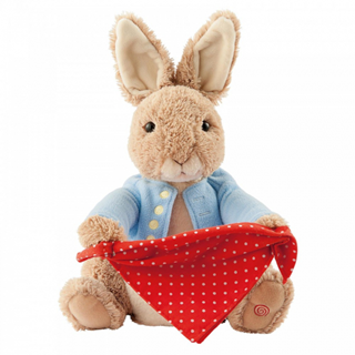 Peter rabbit Peek-a-boo