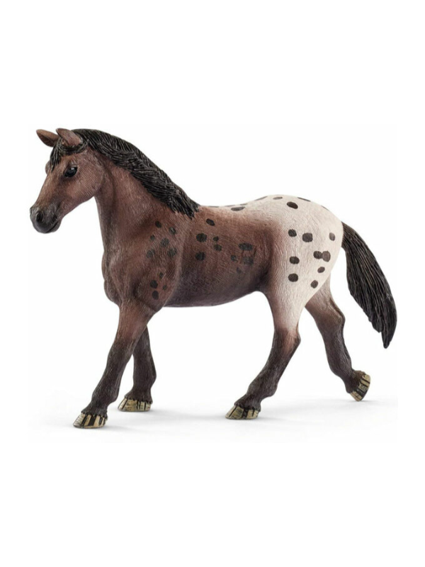 Appaloosa Kobila