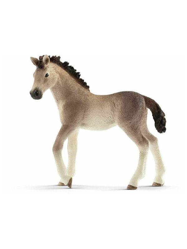 Andalusian Zdrebe