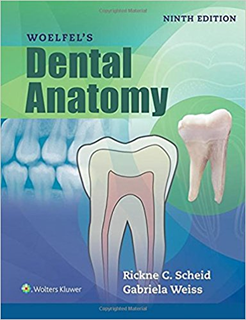 Woelfels Dental Anatomy, 9 Ed