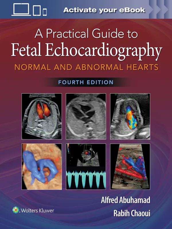 A Practical Guide to Fetal EchocardiographyNormal and Abnormal Hearts, Fourth edition