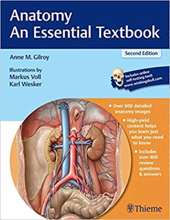 Anatomy – An Essential Textbook