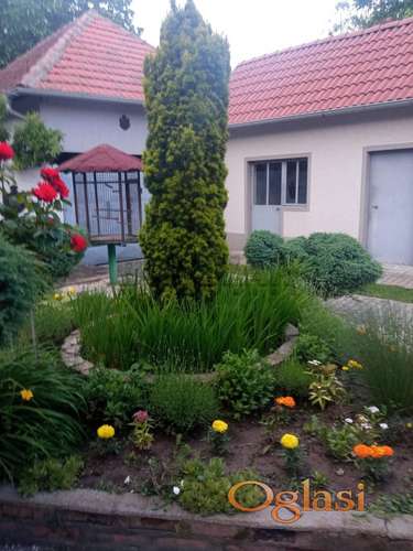 Lux seosko domaćinstvo u selu Markovac, kod Velike Plane, kuća 235 m2, 6 pomoćnih objekata, plac 3290 m2