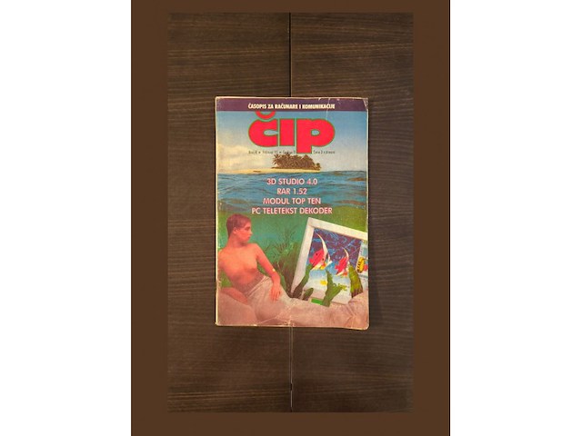 ČIP br. 8 februar 1995 – retro računarski časopis