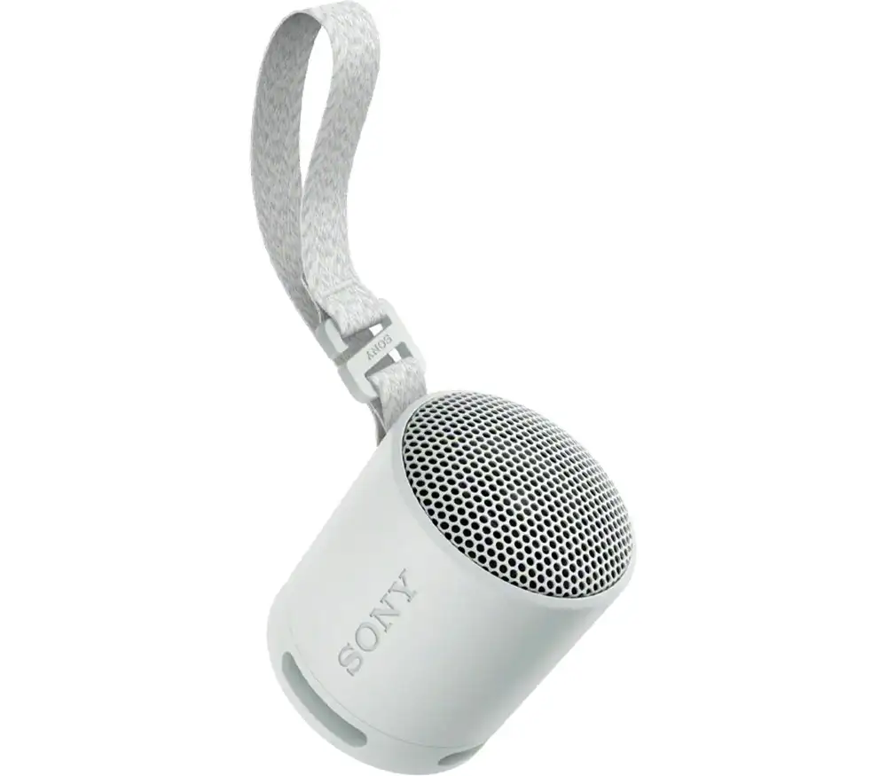 SONY SRSXB100H.CE7