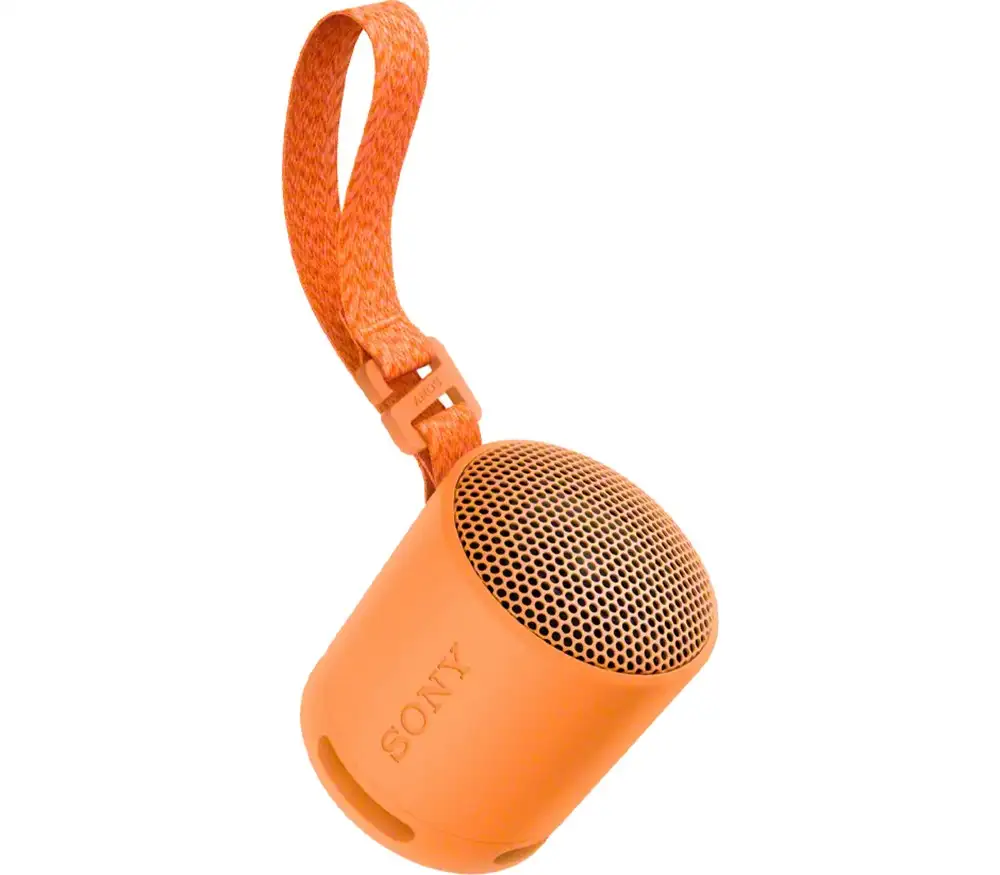 SONY SRSXB100D.CE7