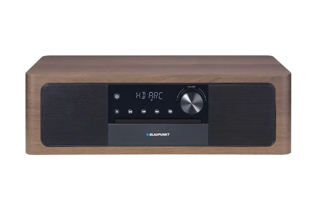 BLAUPUNKT MS22BT