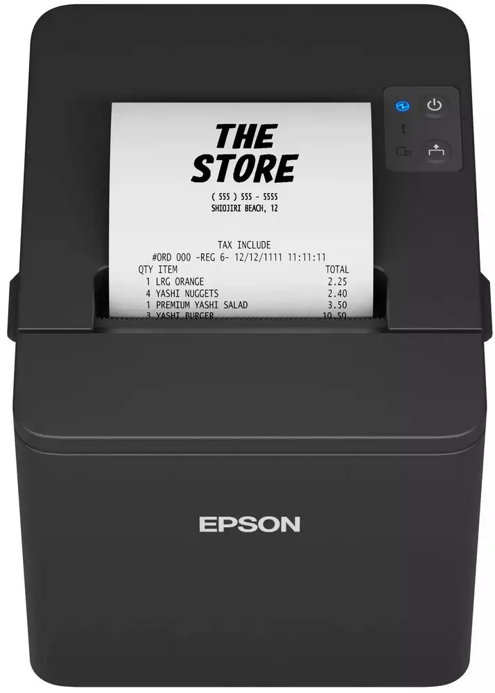EPSON TM-T20IV-101